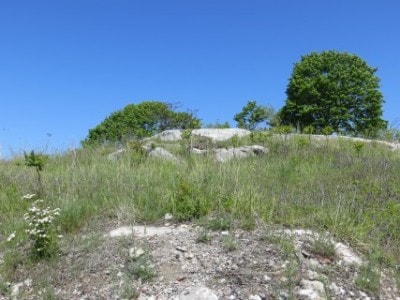 Will There Finally be Some Development on the Land Condemned in Kelo v ...