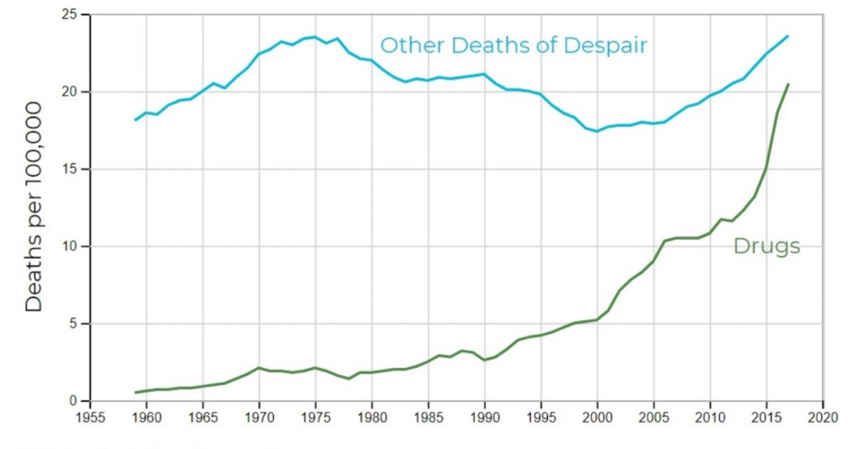 Congressional Report on ‘Deaths of Despair’ Highlights the Hazards of ...