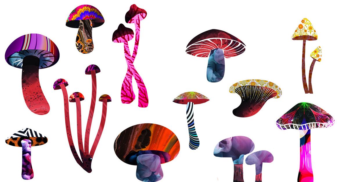 How To Take Shrooms – Reason.com