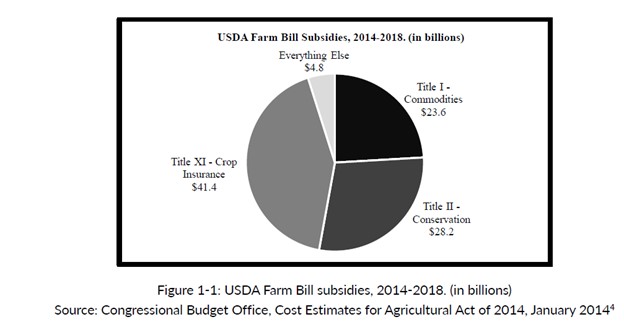 5 Ways Elon Musk and Other Billionaires Get Welfare for the Rich