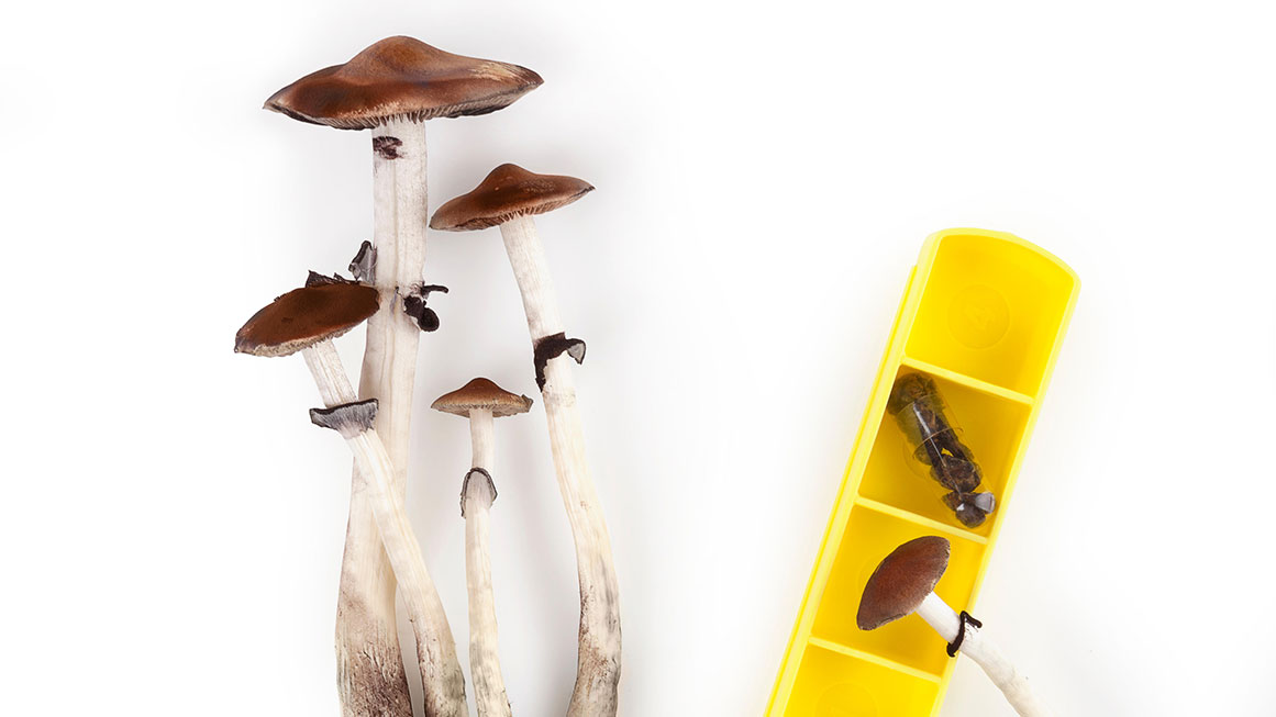 How To Take Shrooms